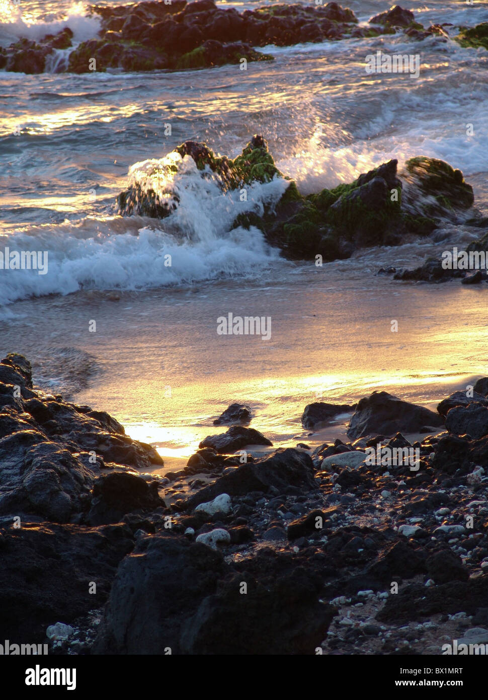 beach dusk mood rock scenery landscape sea seashore Surf twilight water ...
