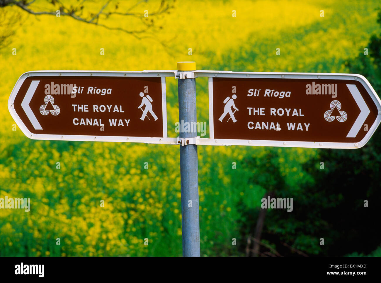 Royal canal sign hi-res stock photography and images - Alamy