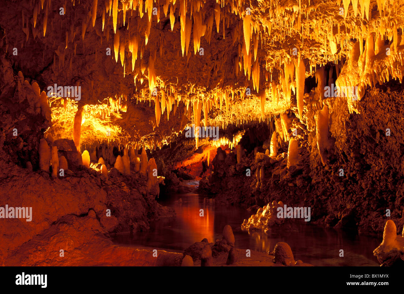 Barbados cave Harrison Cave inside lake limestone cave Stalagmites ...