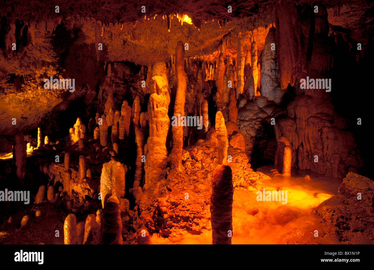 Barbados cave Harrison Cave inside limestone cave Stalagmites Caribbean ...