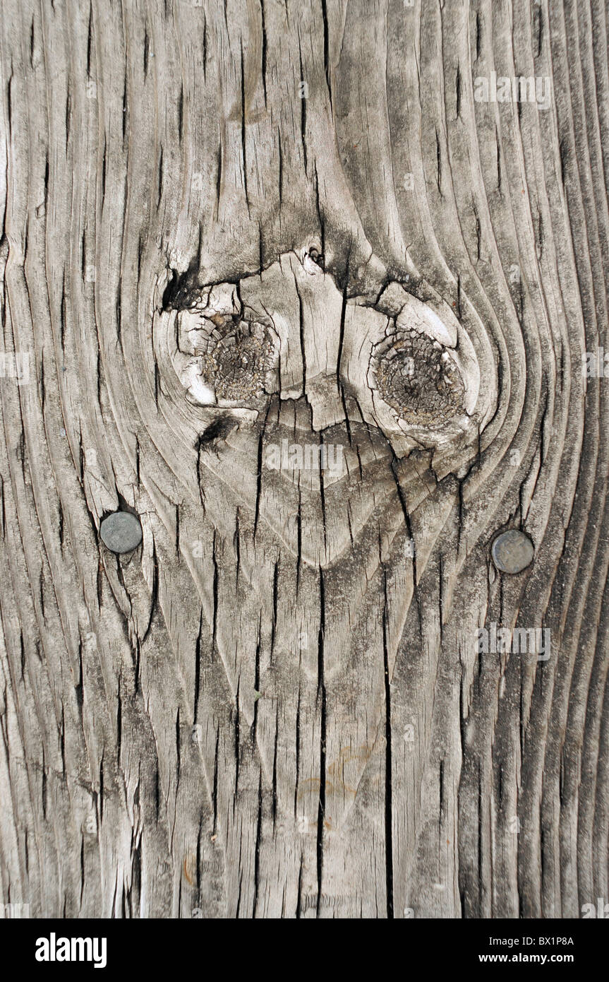 Over a period of wear and tear this plank of wood outdoors created an ...
