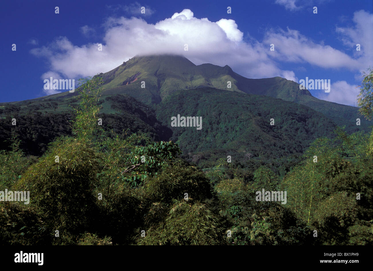 Le Montagne Pelee Martinique mountain scenery landscape Caribbean ...