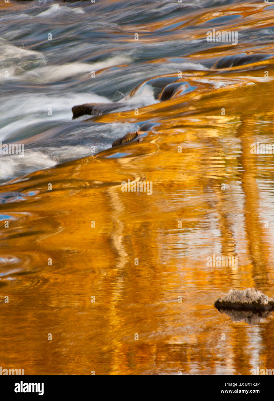 USA, Idaho Boise, Tree lined fall colors reflecting in the Boise River ...