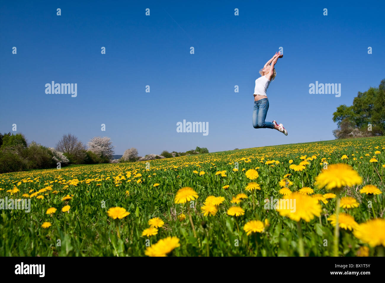 Flowery meadow hi-res stock photography and images - Alamy
