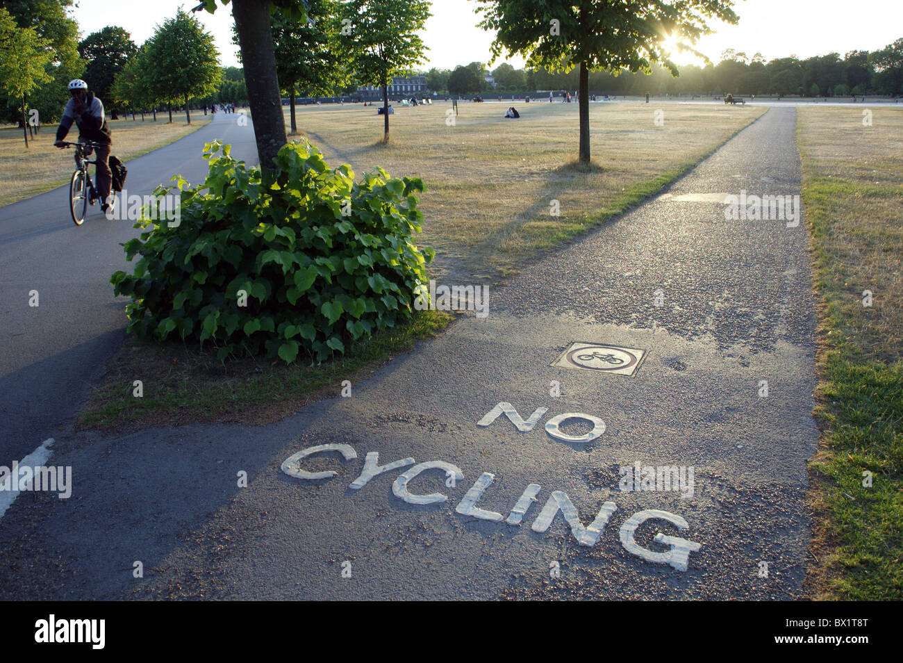 Hyde Park cycle lane at sunset Stock Photo - Alamy
