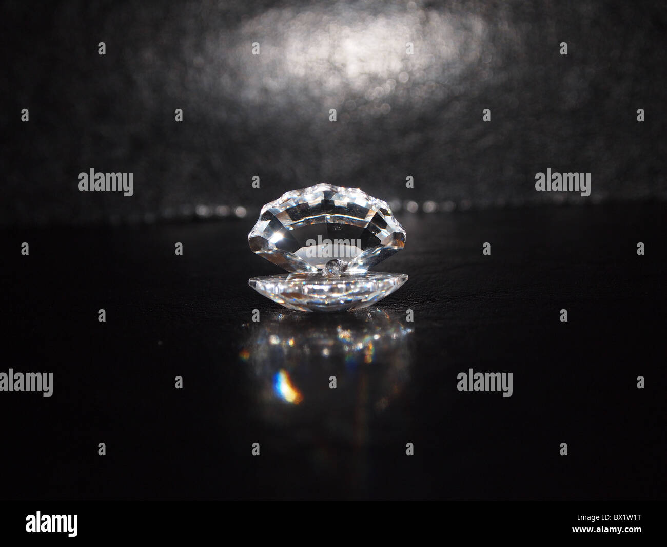 Pearl oyster shell hi-res stock photography and images - Alamy