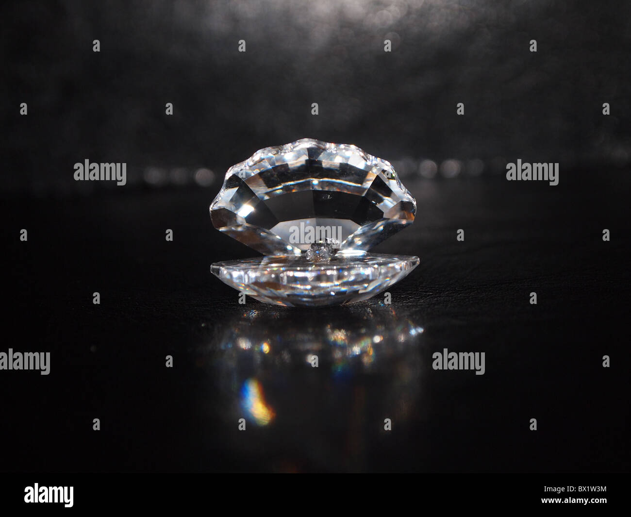 Pearl oyster shell hi-res stock photography and images - Alamy