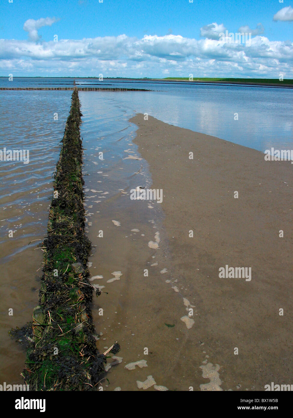breakwater coast coastal defense current ebb tide Germany Europe low ...