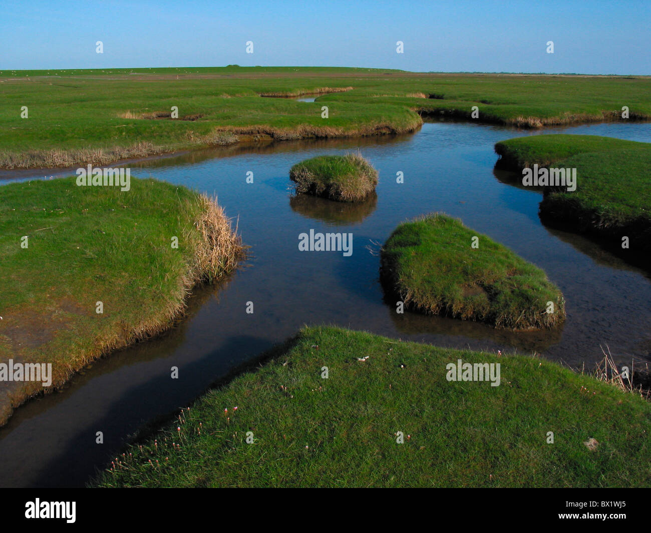 coast Germany Europe Hever mud flats North Frisia North Sea North Sea ...