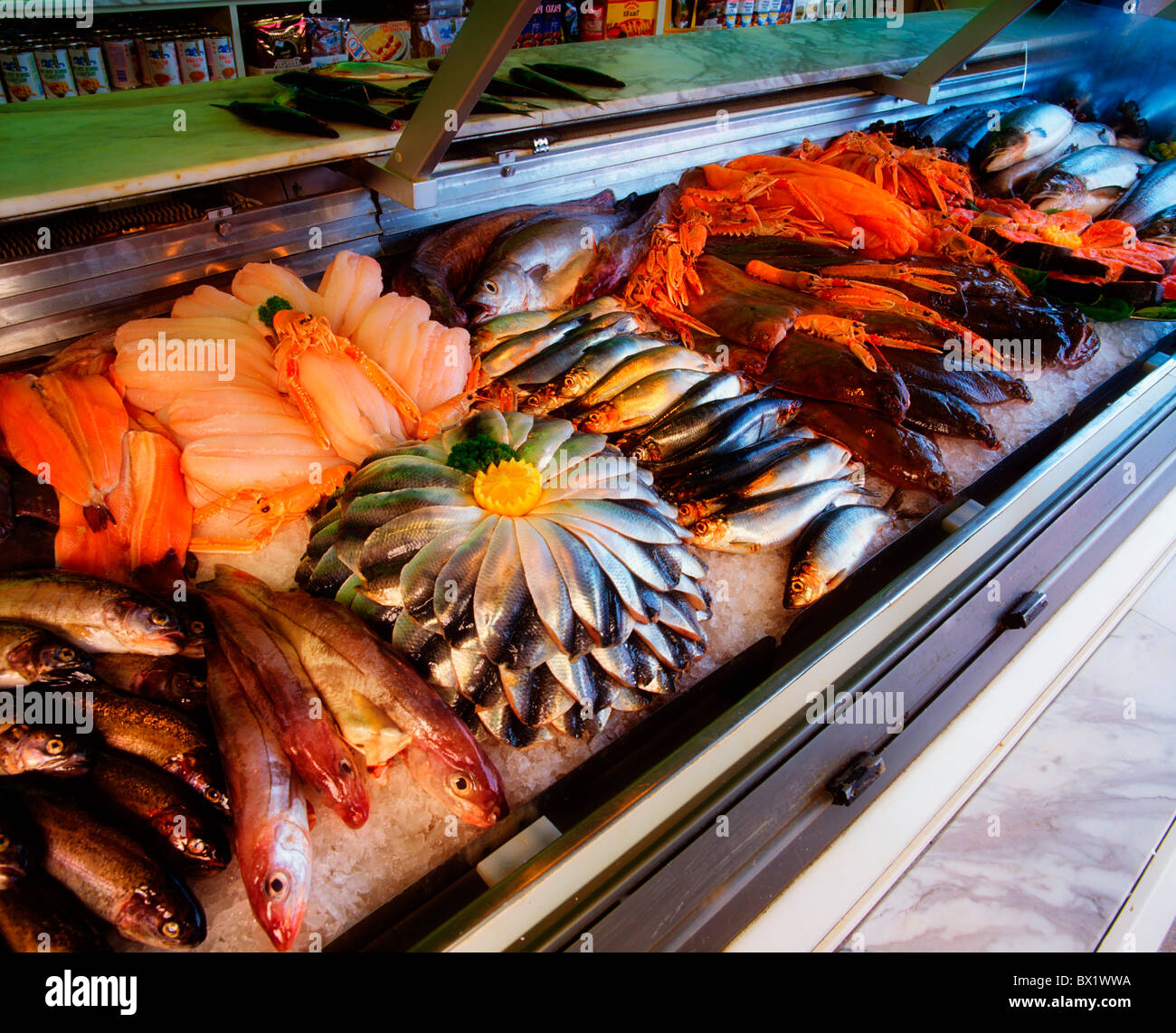 Fish Display In Fishmonger's Shop Stock Photo - Alamy
