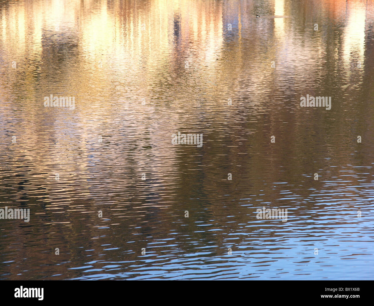 lake reflection s surface Water Stock Photo - Alamy