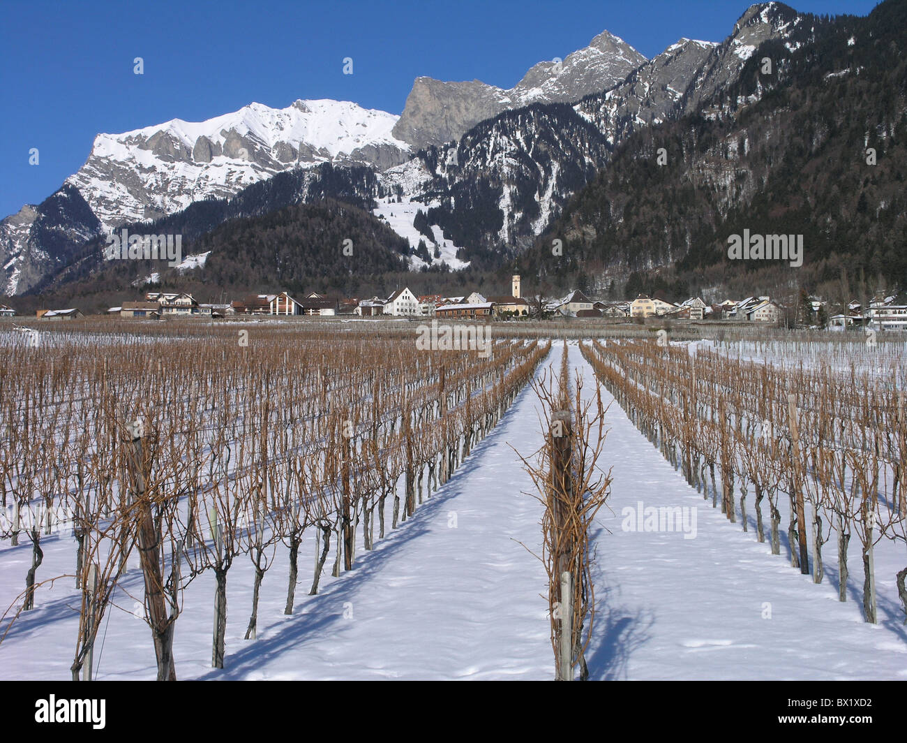 Grisons Graubunden Jenins mountains scenery landscape shoots snow ...