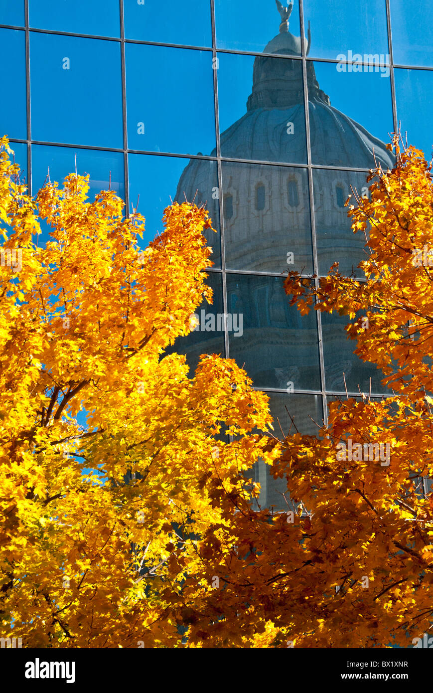 USA, Idaho, City of Boise, Idaho State Capitol Dome reflecting fall ...