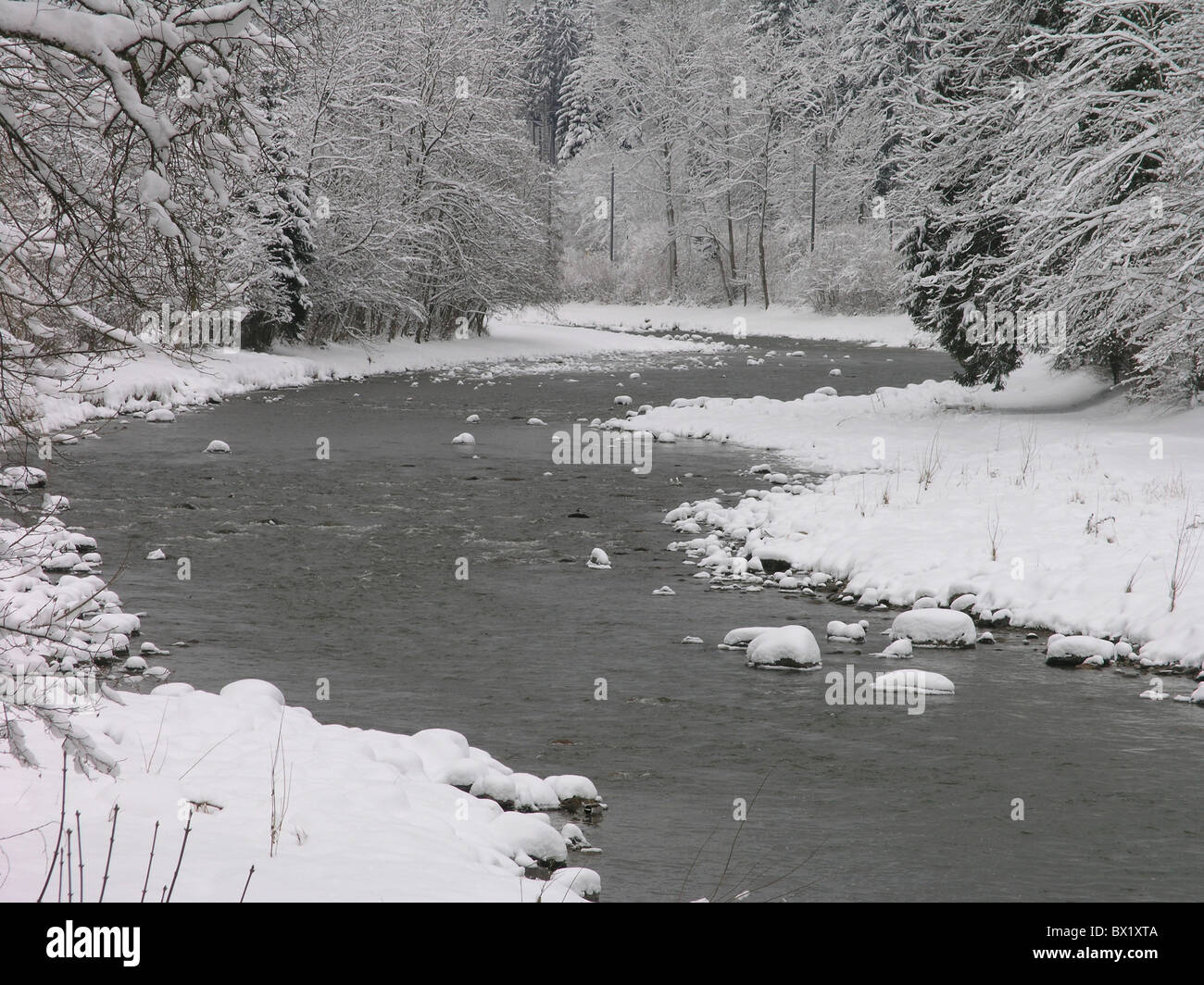 brook stream Canton Zurich river scenery landscape shore Sihl Sihl ...