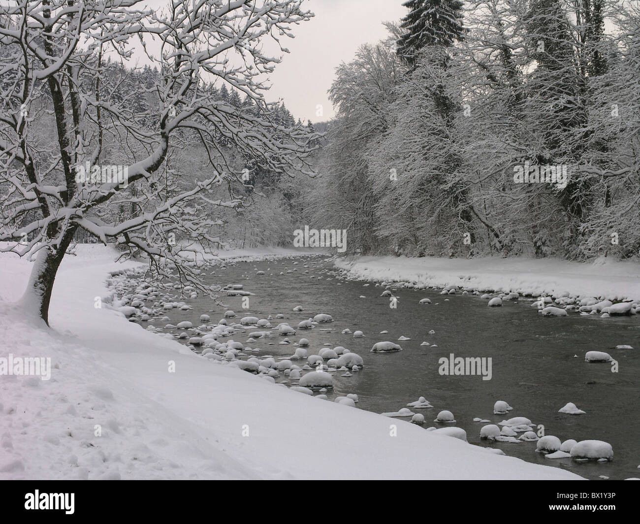 brook stream Canton Zurich river scenery landscape shore Sihl Sihl ...