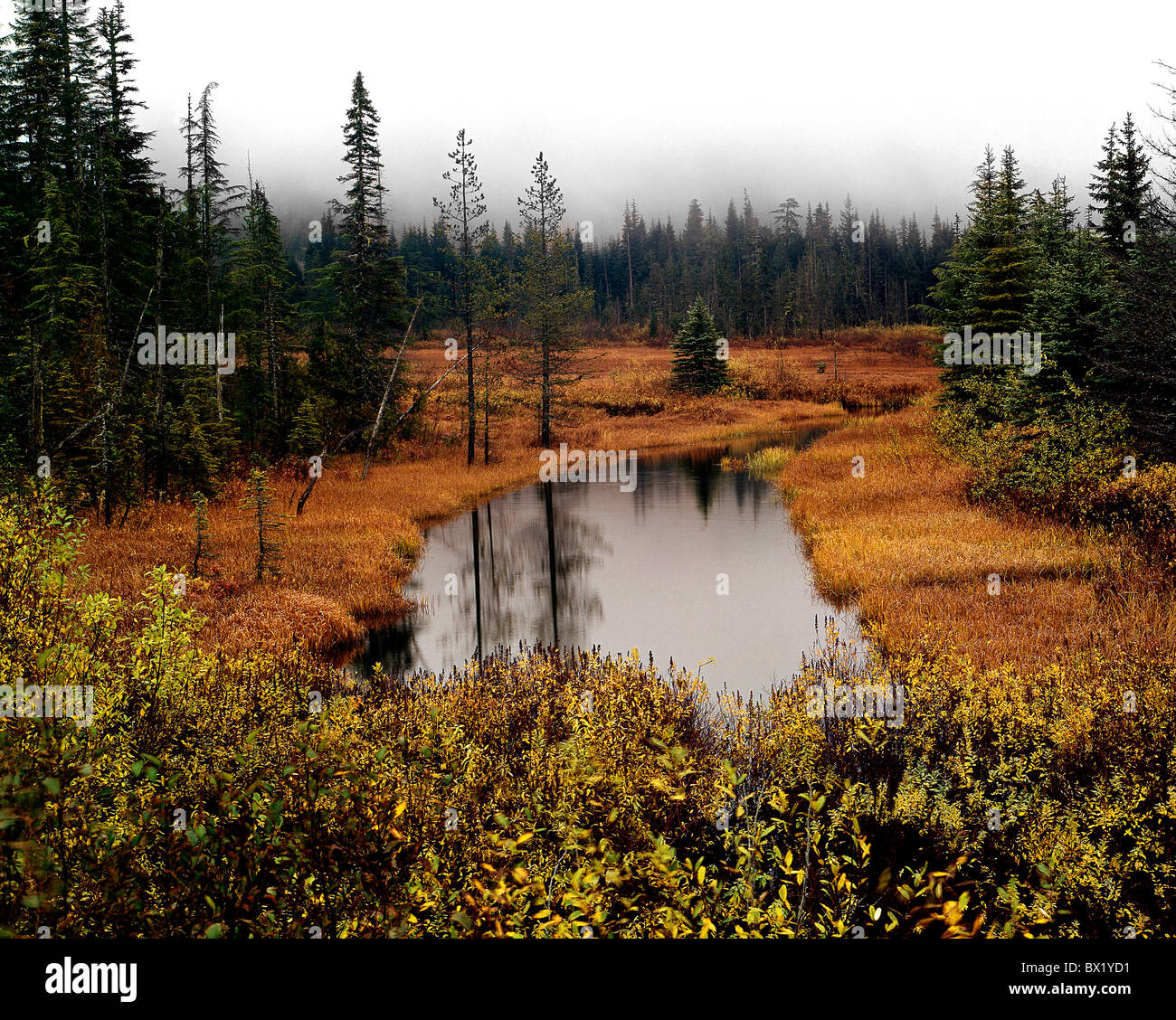 clouds moor nature scenery landscape water wood Stock Photo - Alamy