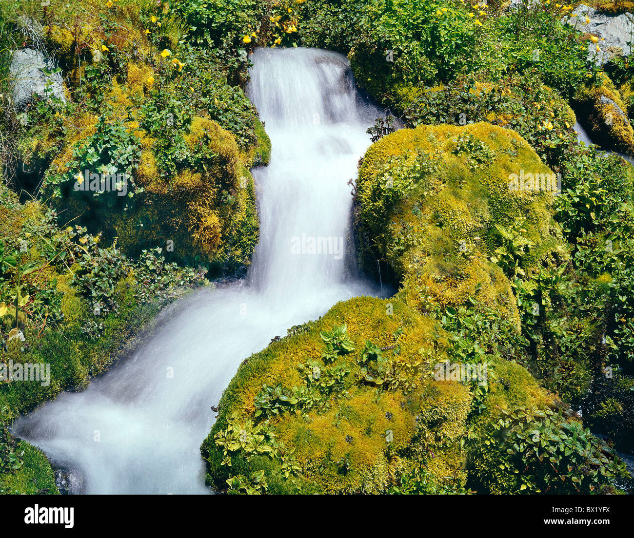 Stream waters hi-res stock photography and images - Alamy