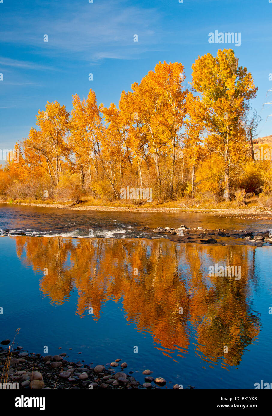 Boise river greenbelt hi-res stock photography and images - Alamy