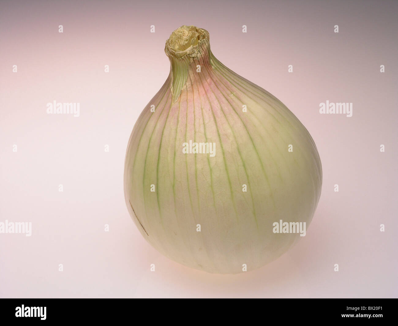 food healthy individual onion onions studio vegetable vegetable onion ...