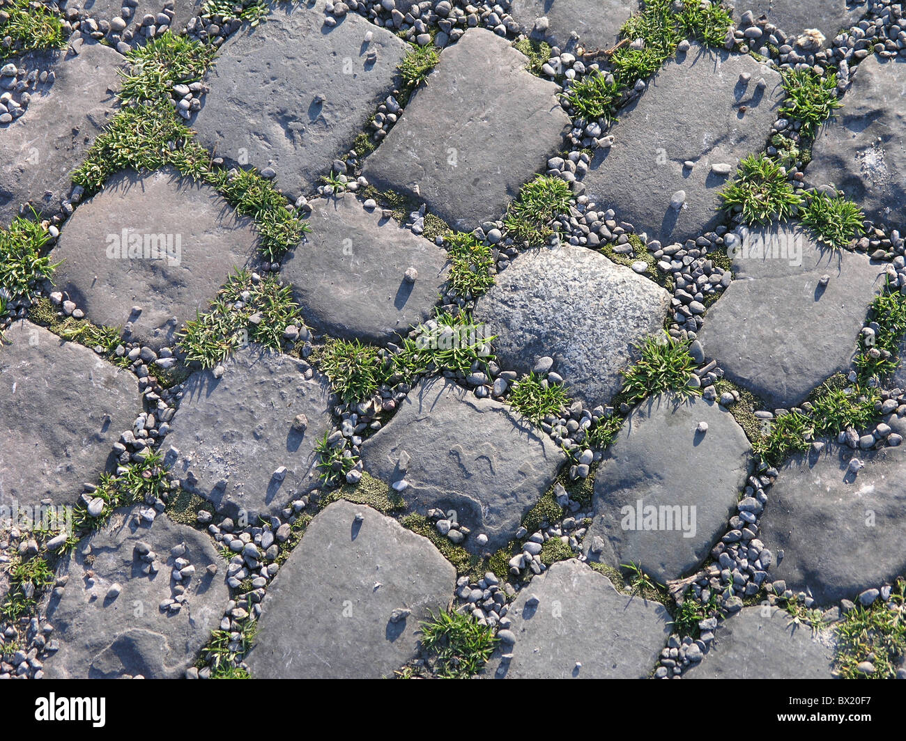 bottom Cobblestones ground moss paving stones structure Stock Photo - Alamy