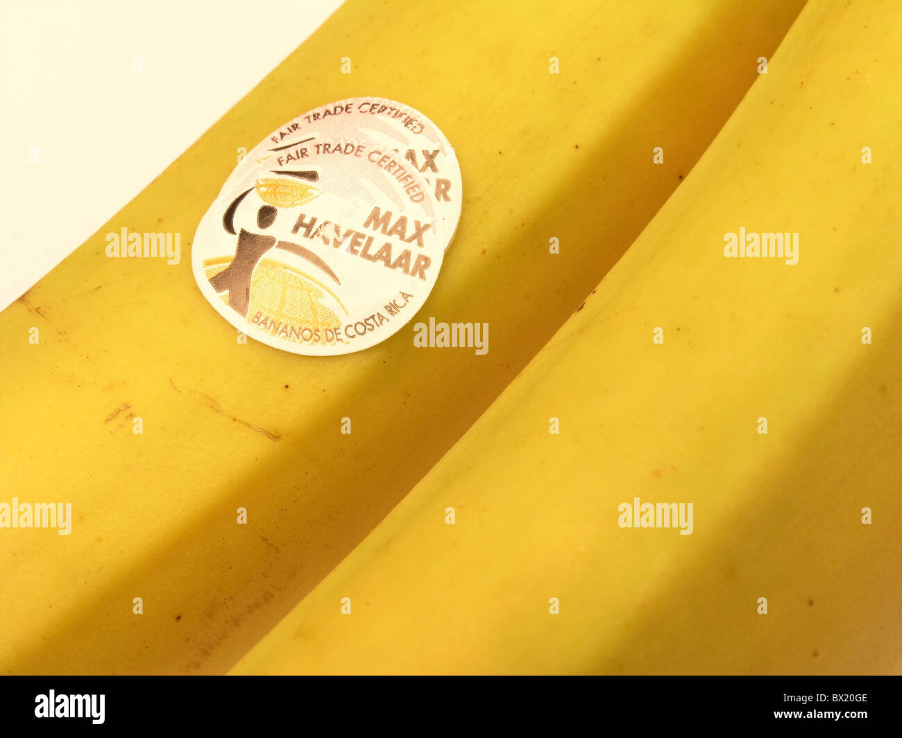 banana bananas detail fair Trade food fruit healthy Max Havelaar ...