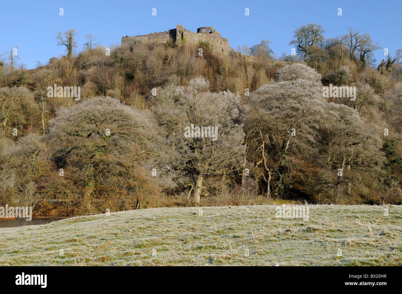 Dinefwr castle wales hi-res stock photography and images - Alamy