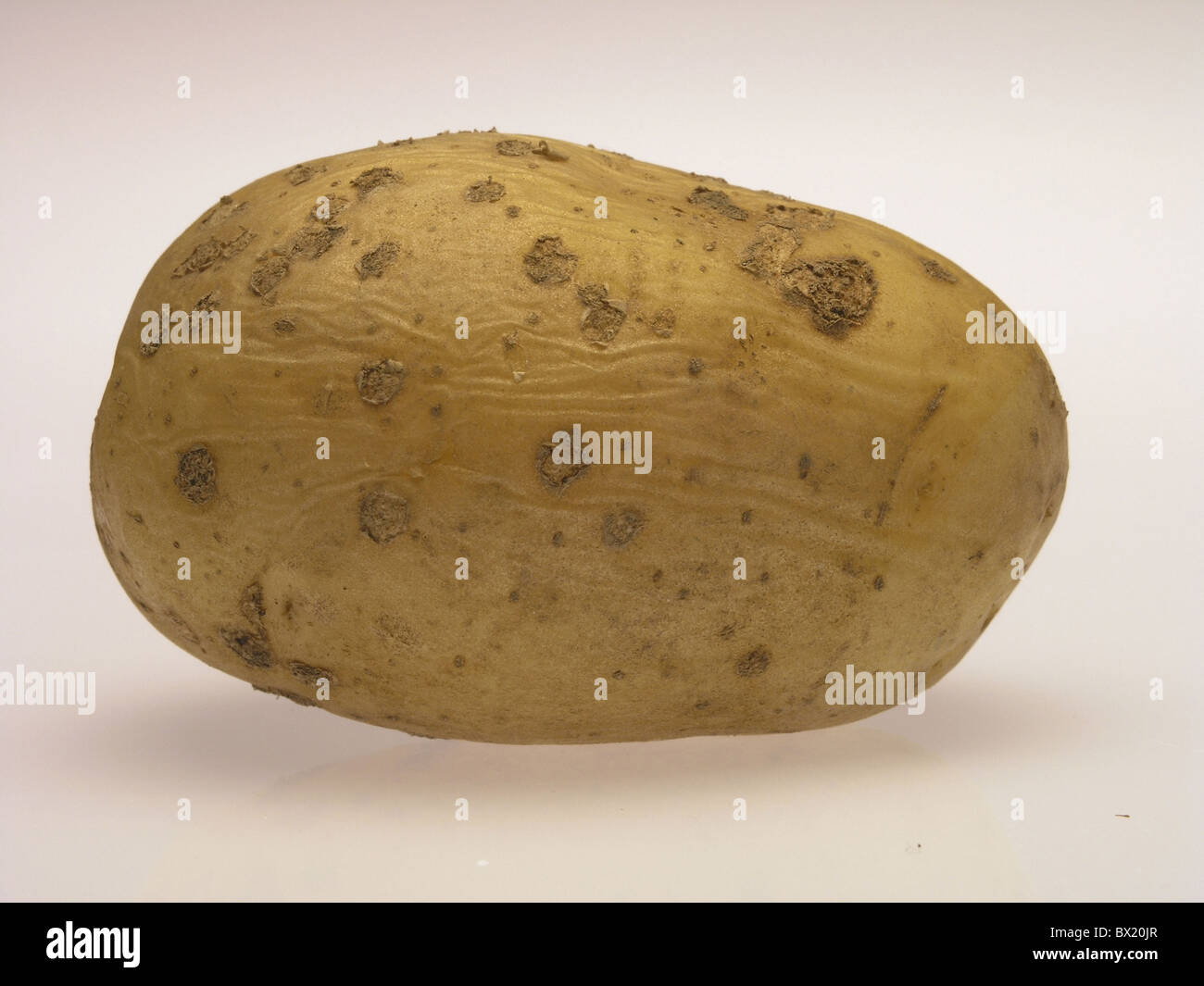 cooked food healthy individual potato studio vegetable Stock Photo - Alamy