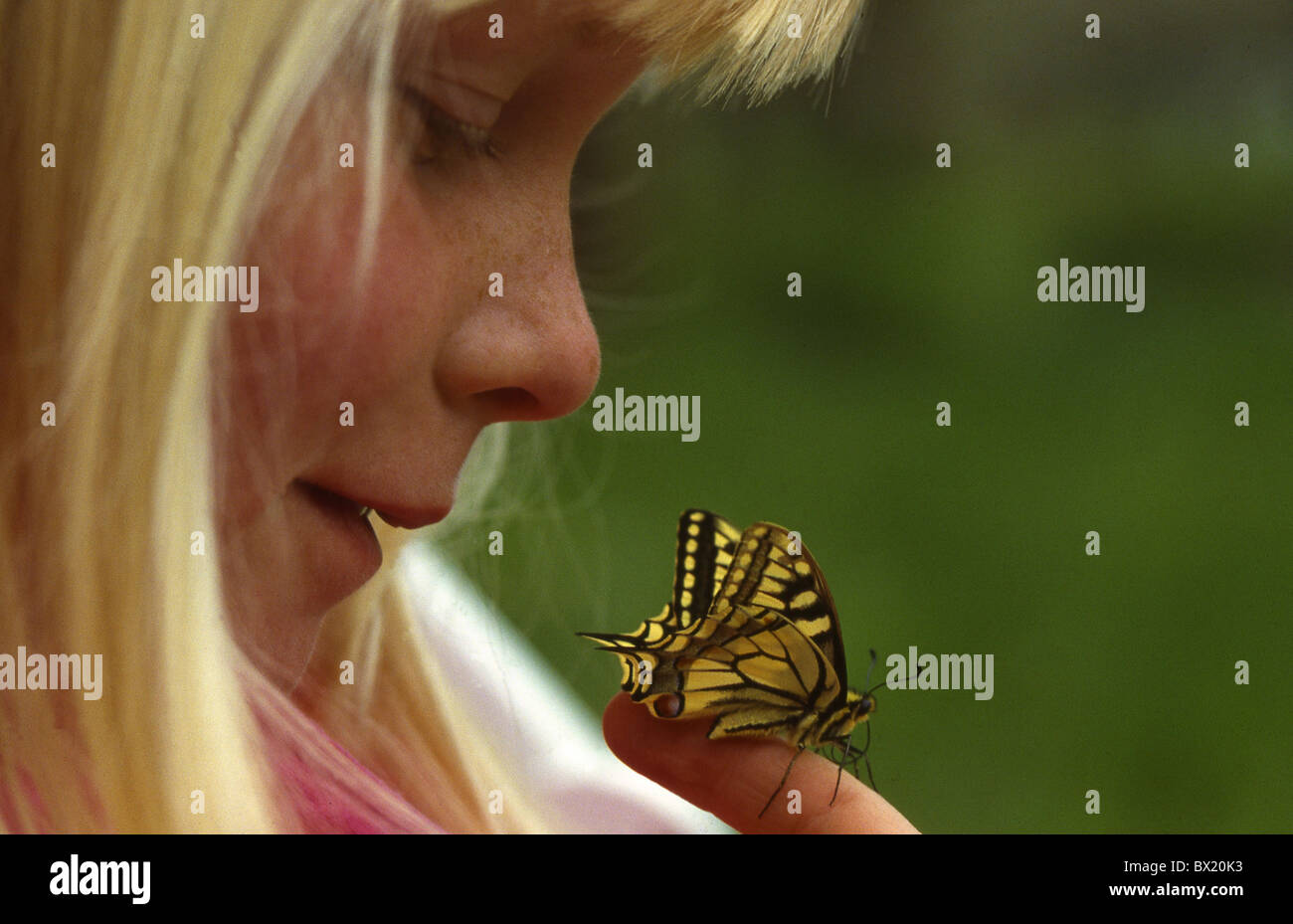 Girls child blond outside butterfly observing nature experience animals ...