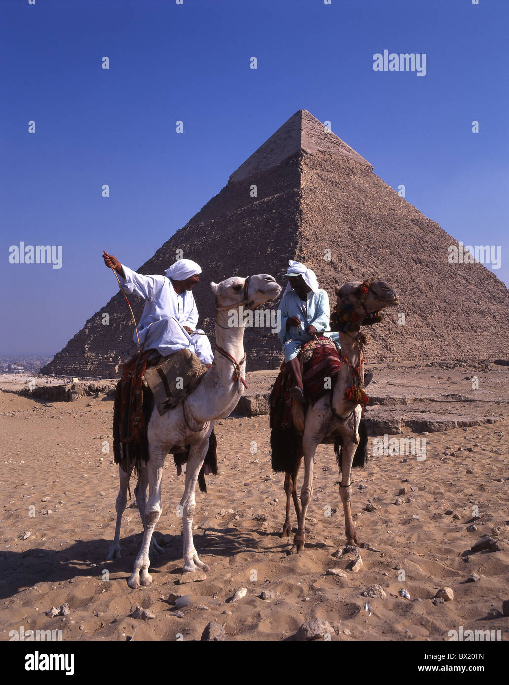 Men locals camels pyramids Gizeh Cairo Egypt North Africa desert Stock ...