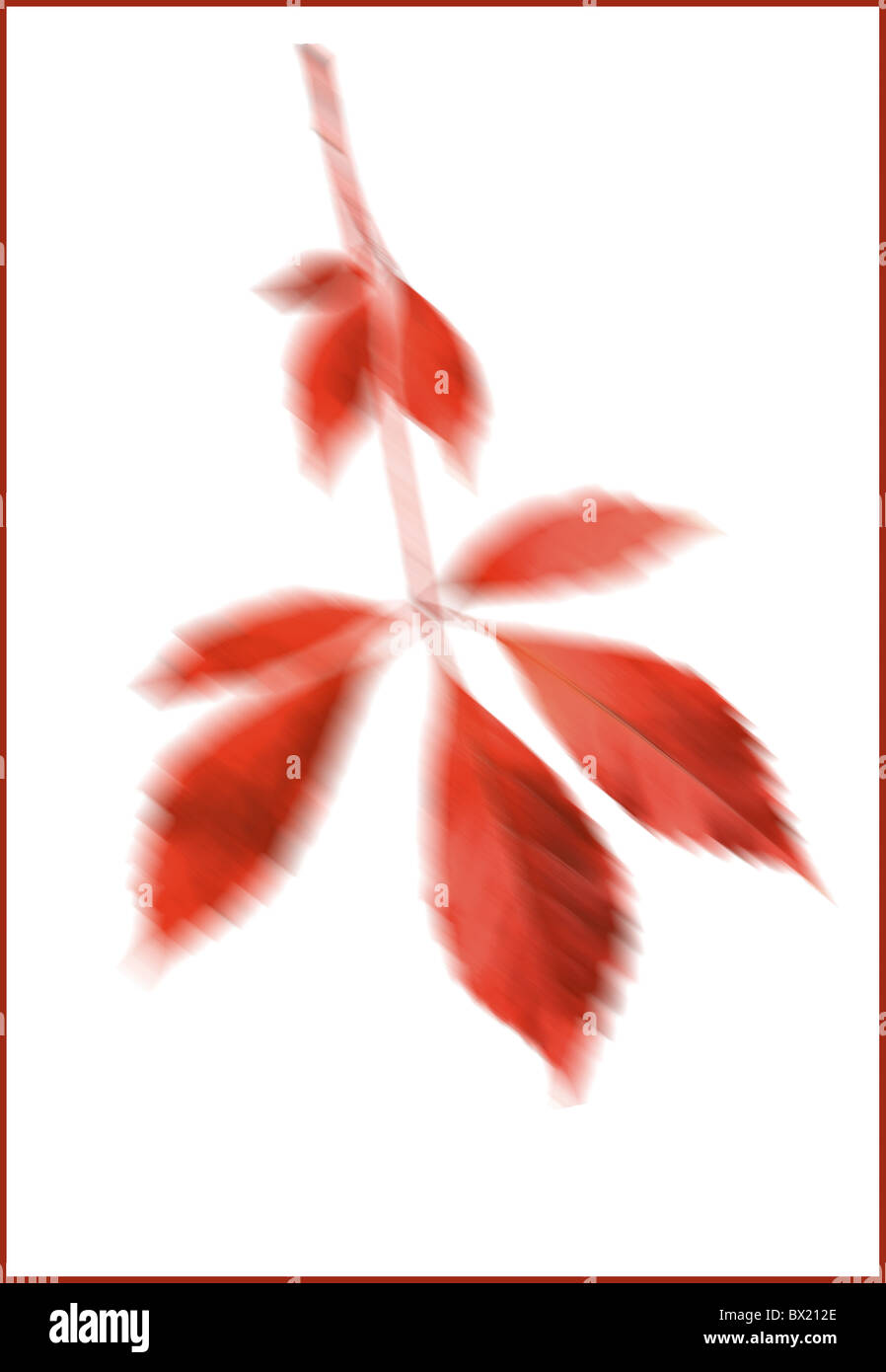 Symbol sheet hi-res stock photography and images - Alamy