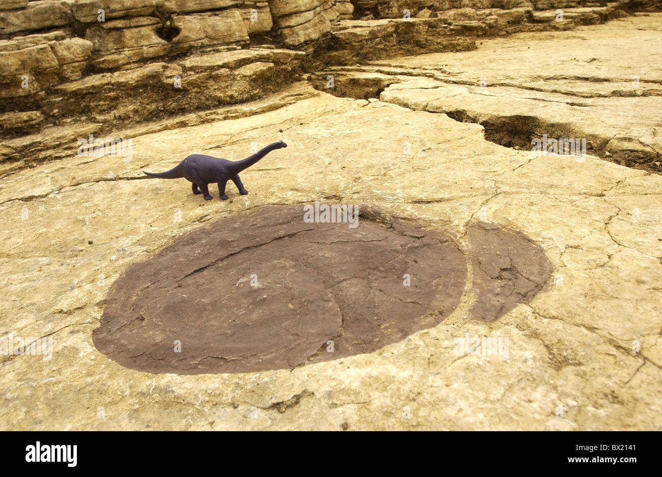 Jura courtedoux dinosaurs excavations footprints hi-res stock ...