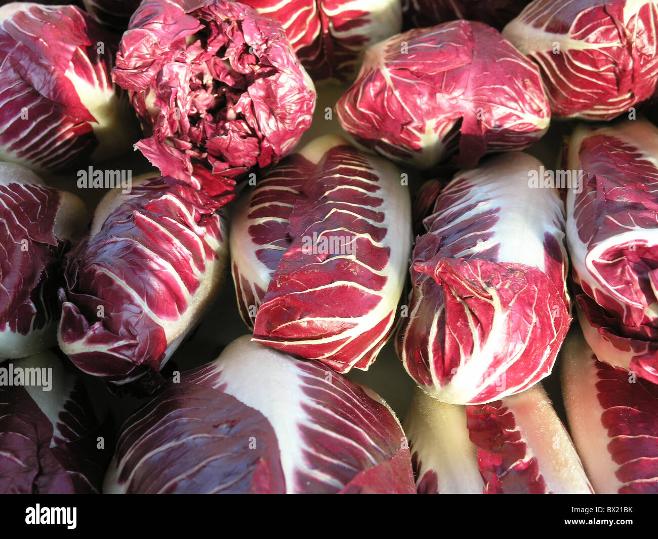 food Radicchio red chicory vegetable Stock Photo - Alamy