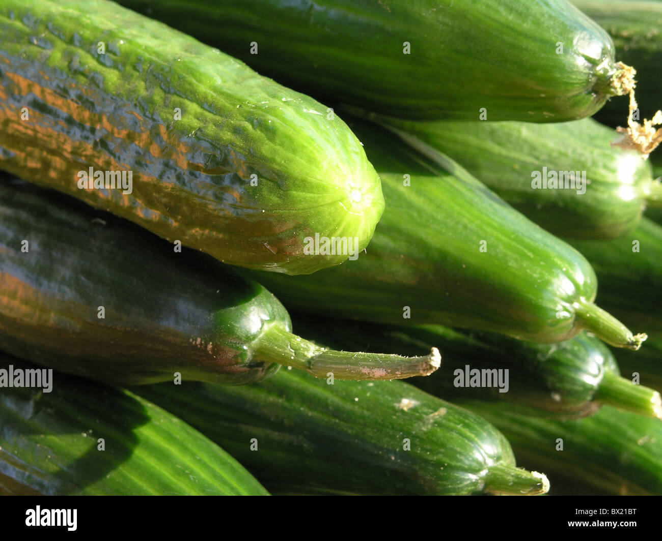 Cucumbers food vegetables Stock Photo - Alamy