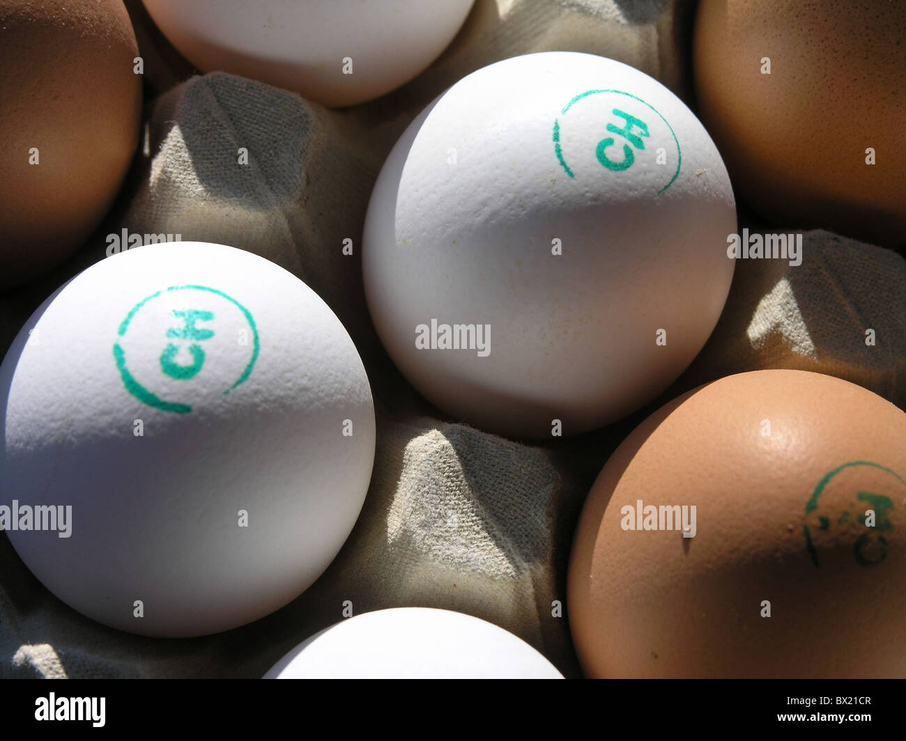 cardboard food sales Swiss eggs trade Stock Photo - Alamy