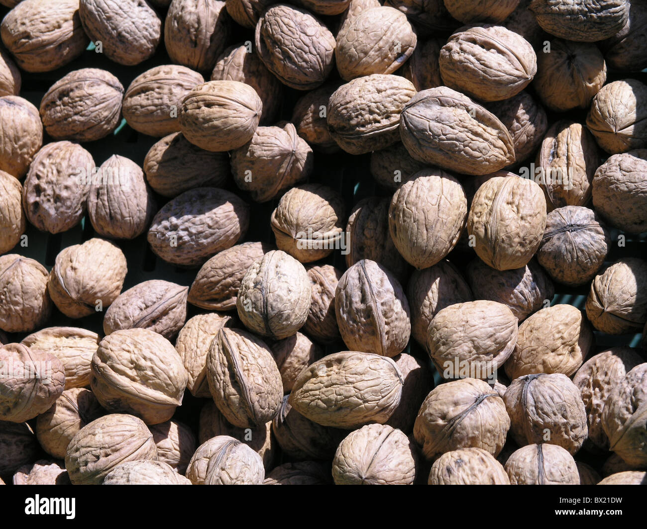 food nuts tree nut Walnut Stock Photo - Alamy
