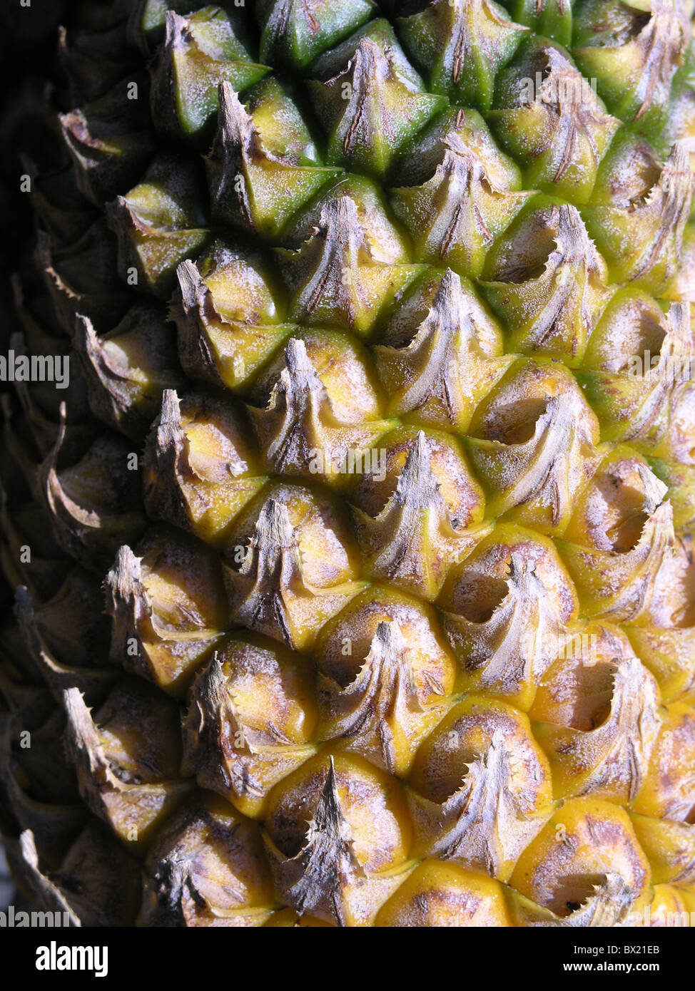 detail food fruit Pineapple structure Stock Photo - Alamy