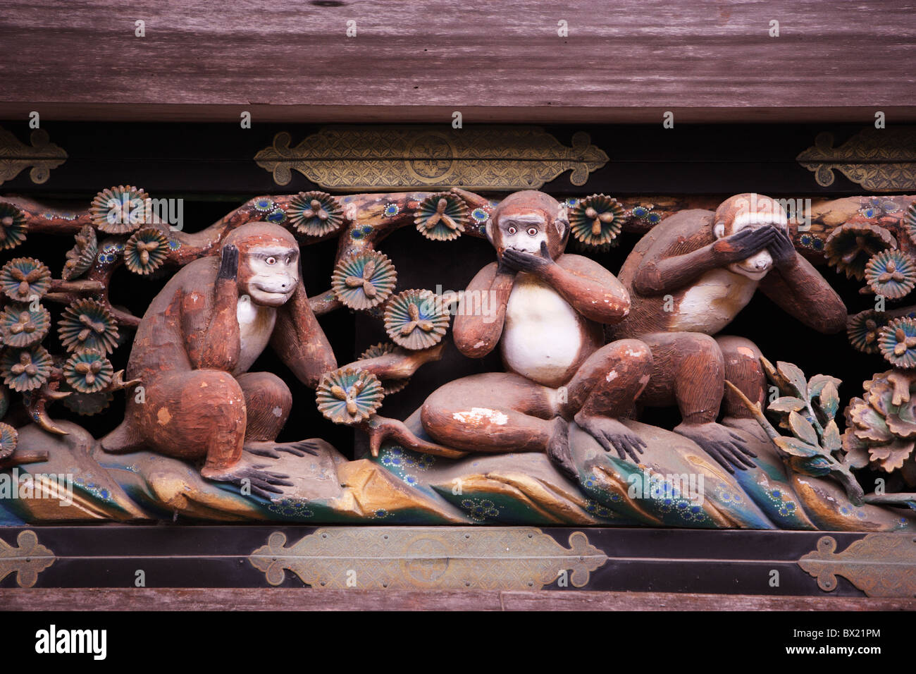 Three monkeys hi-res stock photography and images - Alamy