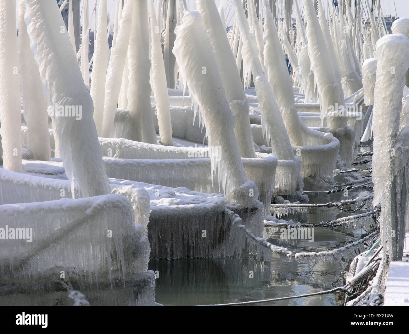 The Ice Storm High Resolution Stock Photography and Images - Alamy