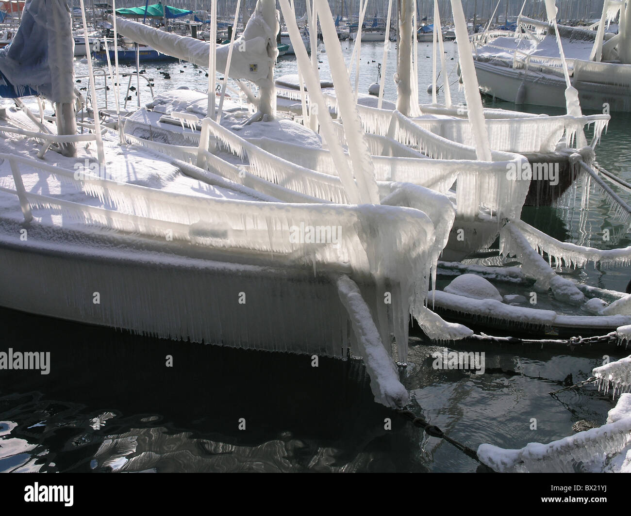 The Ice Storm High Resolution Stock Photography and Images - Alamy