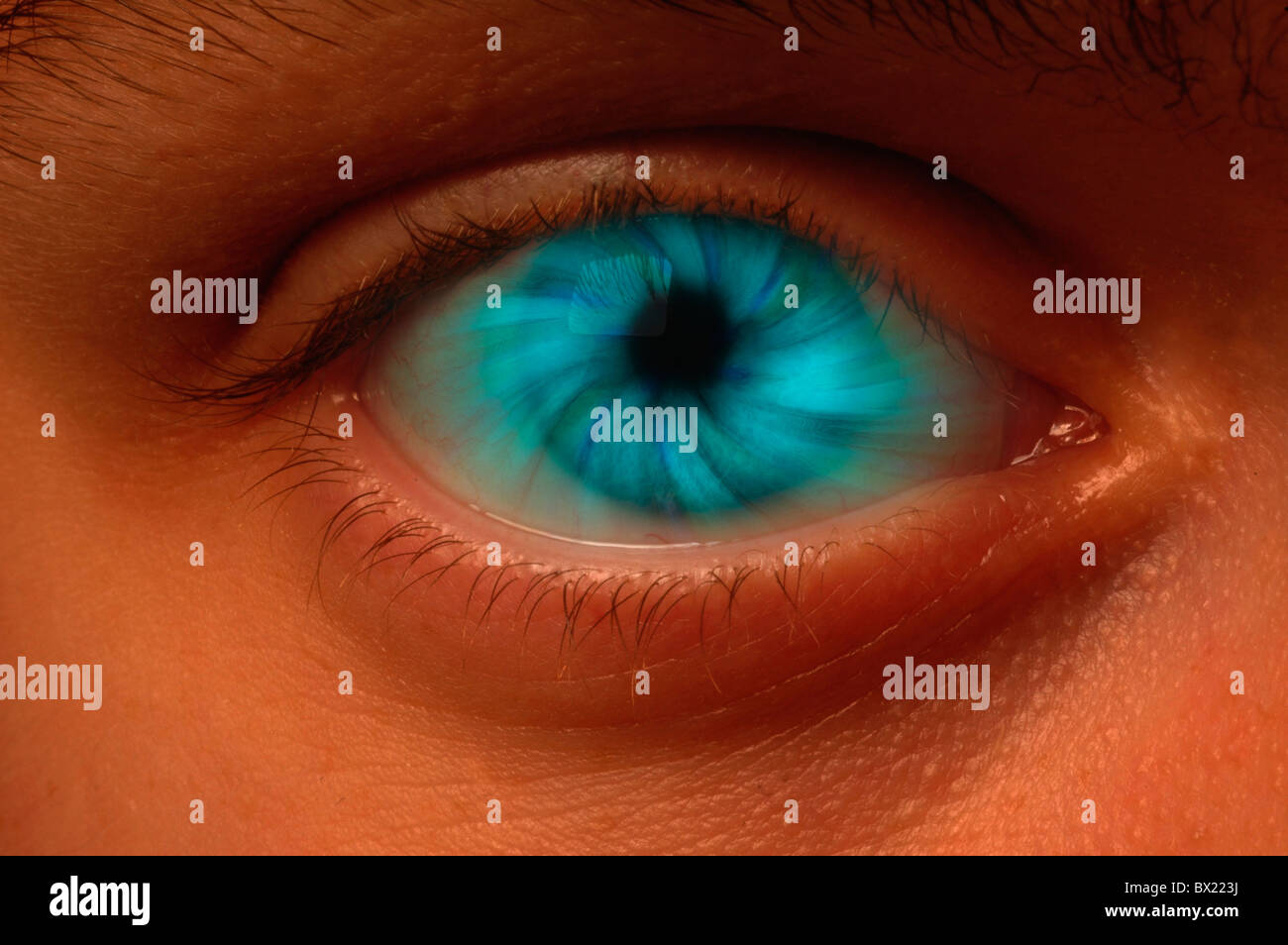 Bfs21100035 hi-res stock photography and images - Alamy