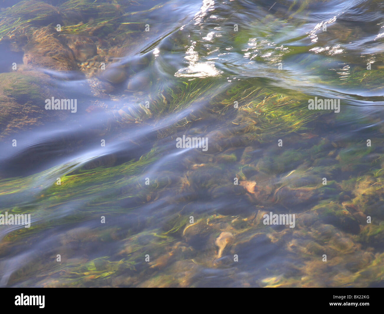 brook stream detail fluently nature river surface Water Stock Photo - Alamy