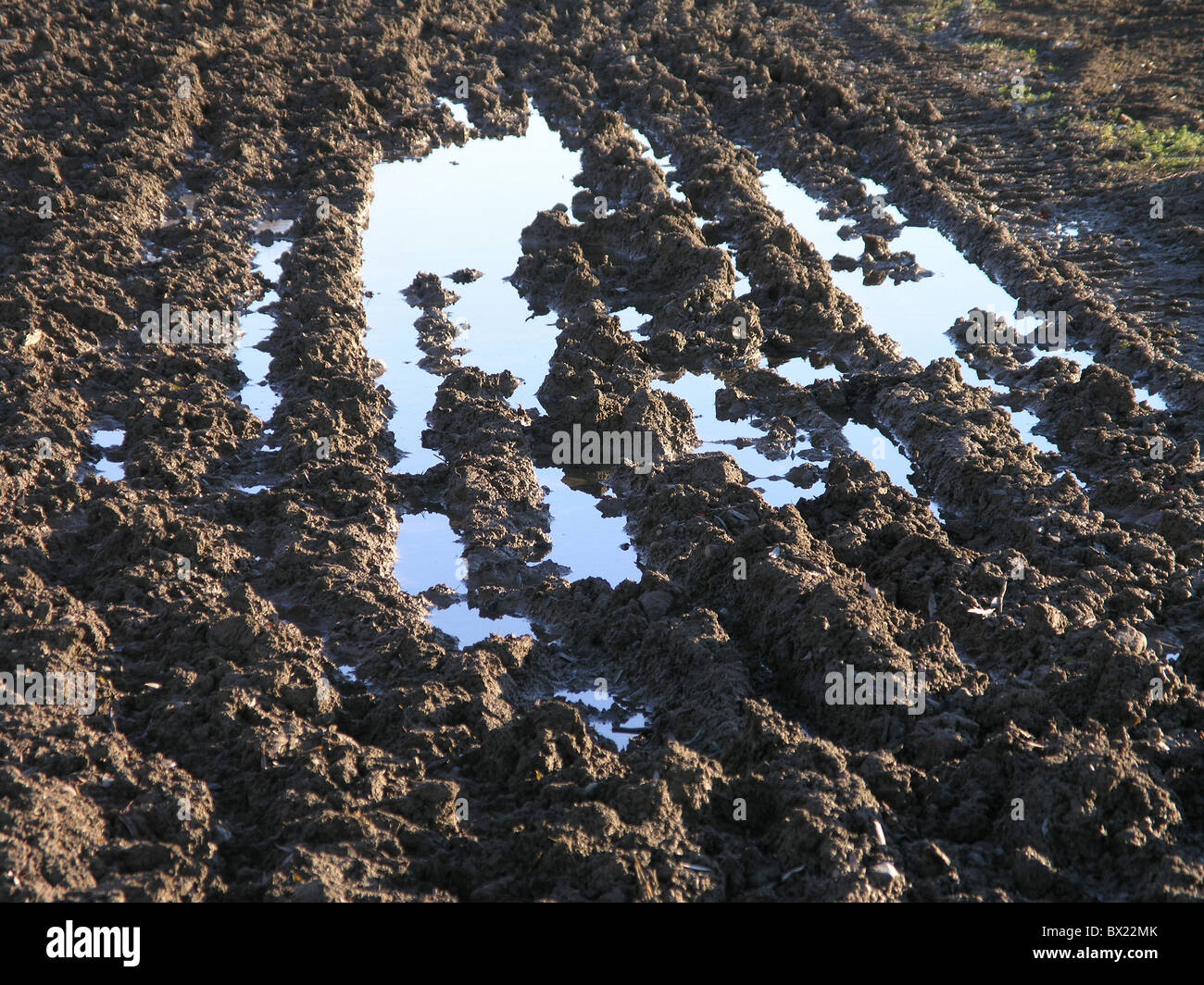 Agriculture broke earth field water Stock Photo - Alamy