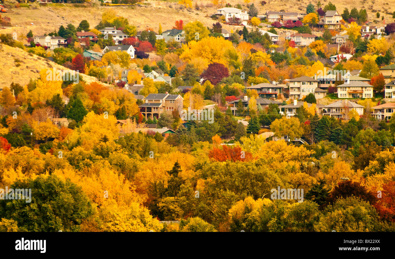 USA, Idaho, Boise, Aerial view of residential neighborhood surrounded ...