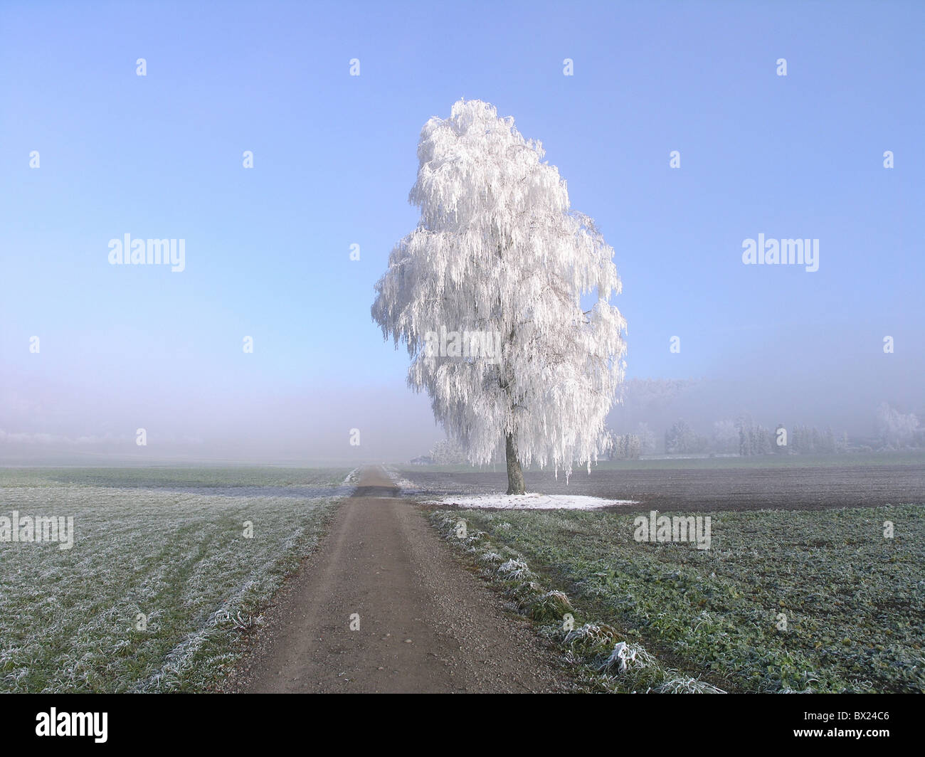 Cold fields hi-res stock photography and images - Alamy