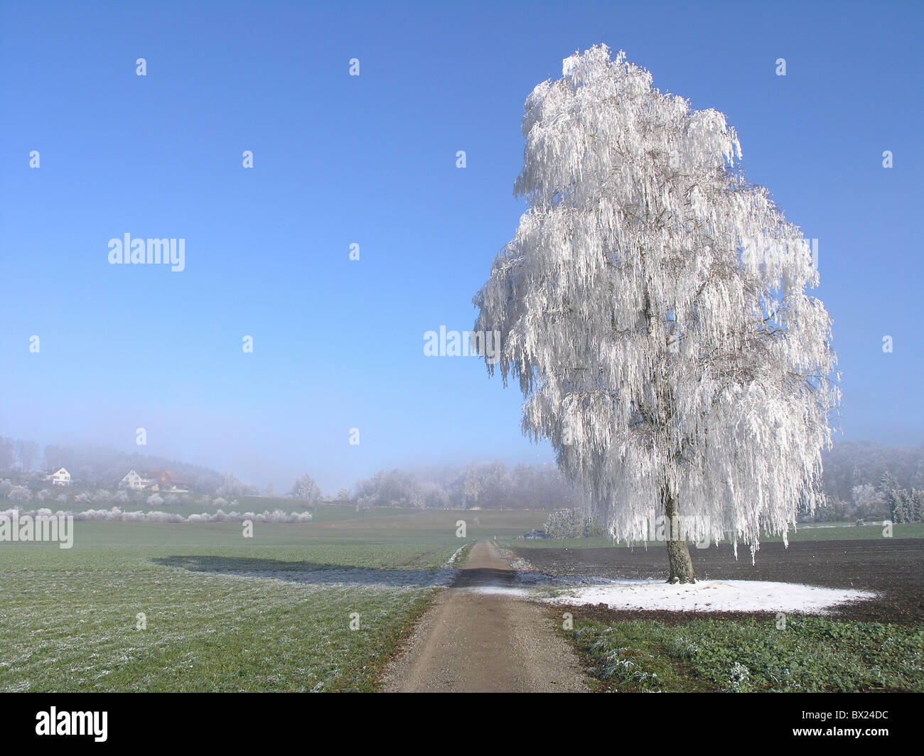 Cold fields hi-res stock photography and images - Alamy
