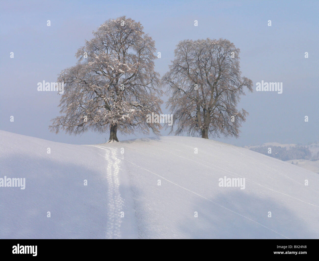hills scenery landscape snow tracks trees Winter Switzerland Europe ...