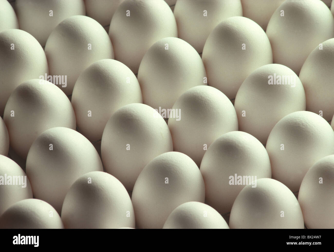 Chicken egg grading hi-res stock photography and images - Alamy