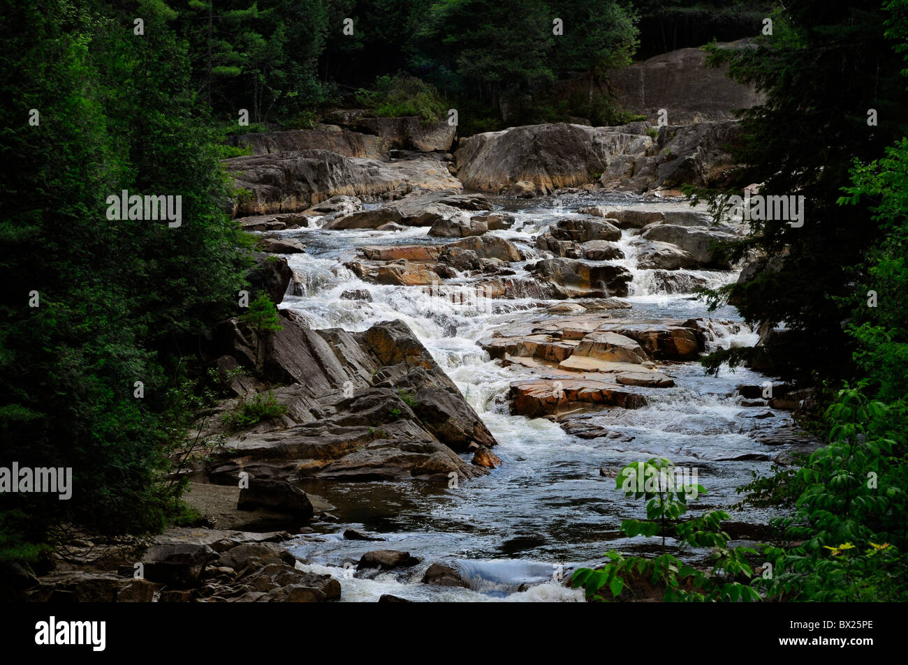 Water wilderness hi-res stock photography and images - Alamy