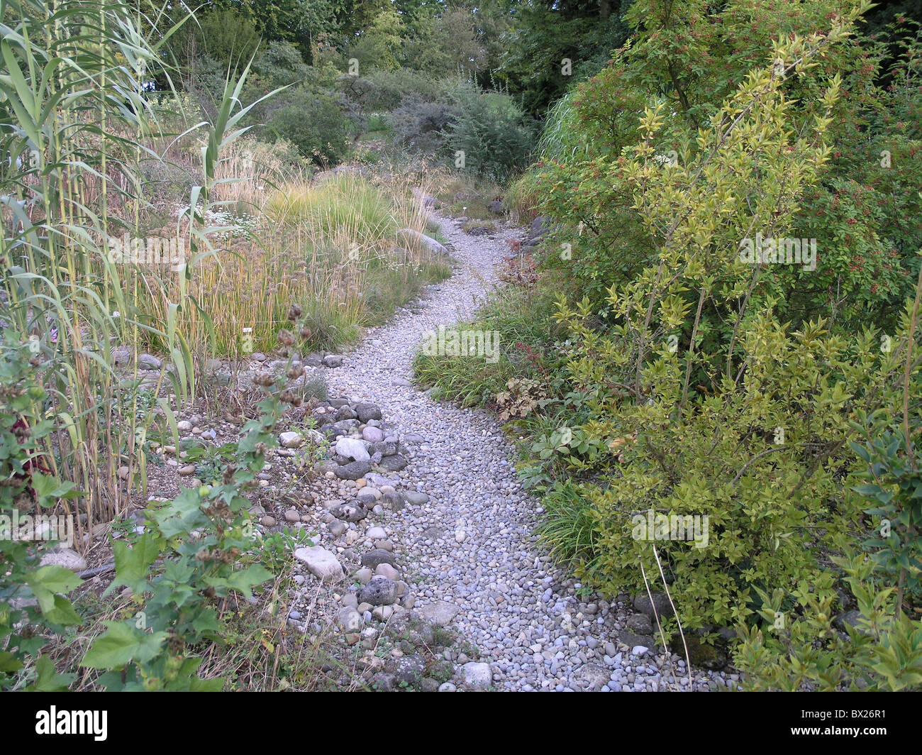 Botanical garden Bushes Color Colour Nature Path Paths Plants Shrub ...