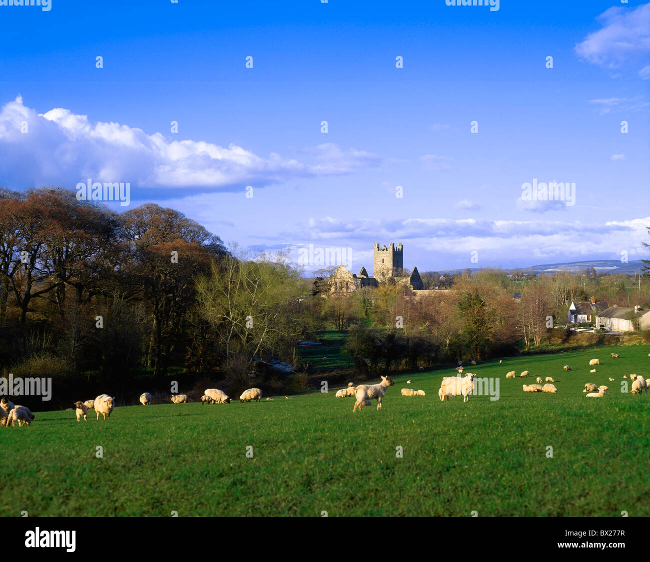 Jerpoint Abbey, County Kilkenny, Ireland Stock Photo - Alamy